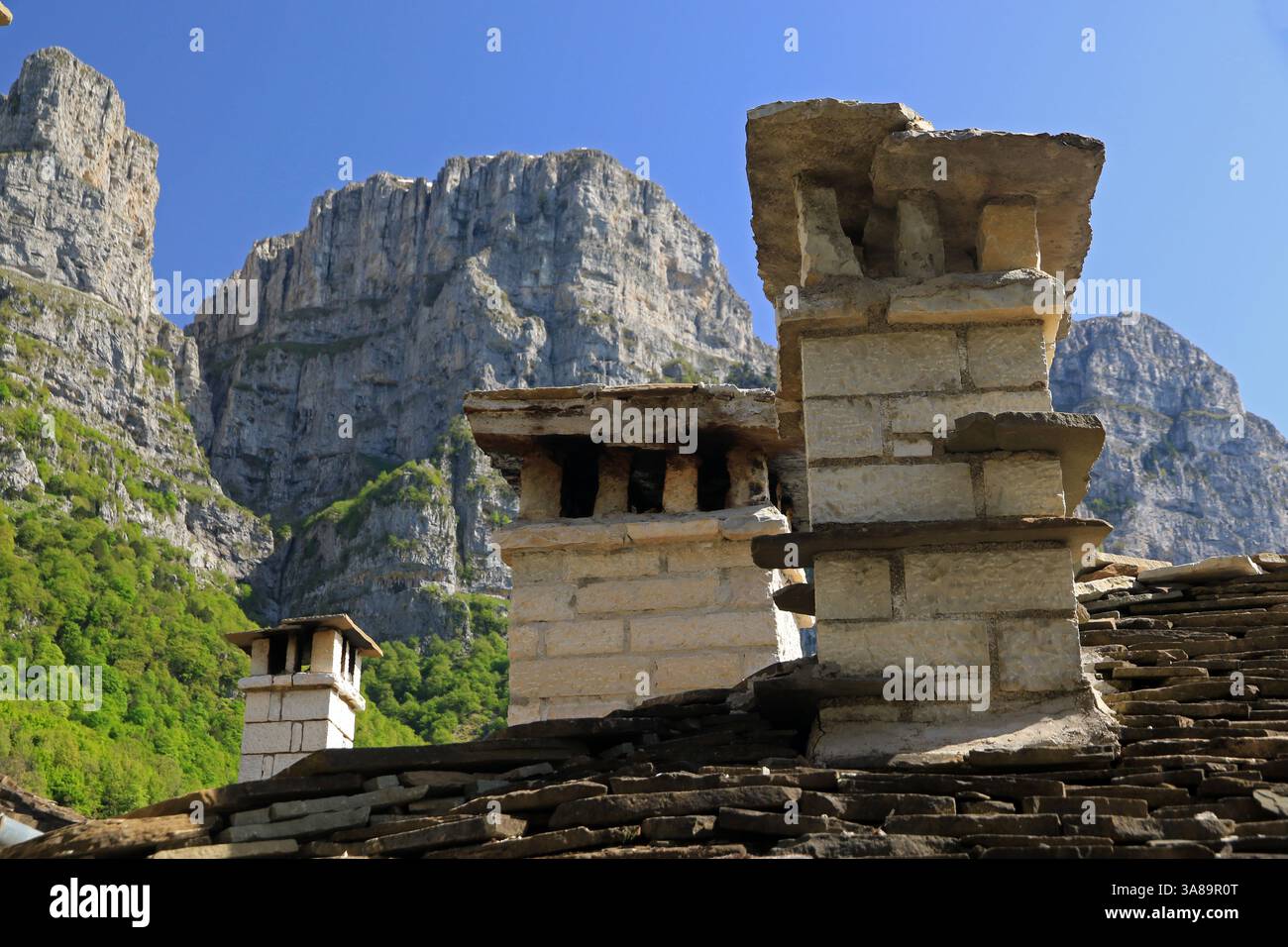 Mikro papigo hi-res stock photography and images - Alamy