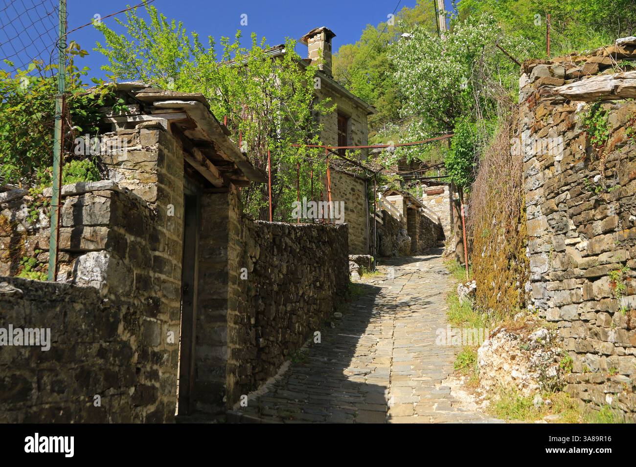 Mikro papigo hi-res stock photography and images - Alamy