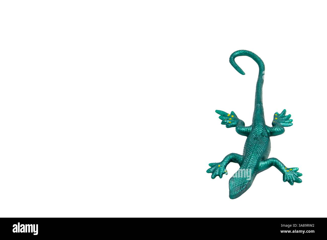 Green rubber lizard toy, top view, isolated on white background ...