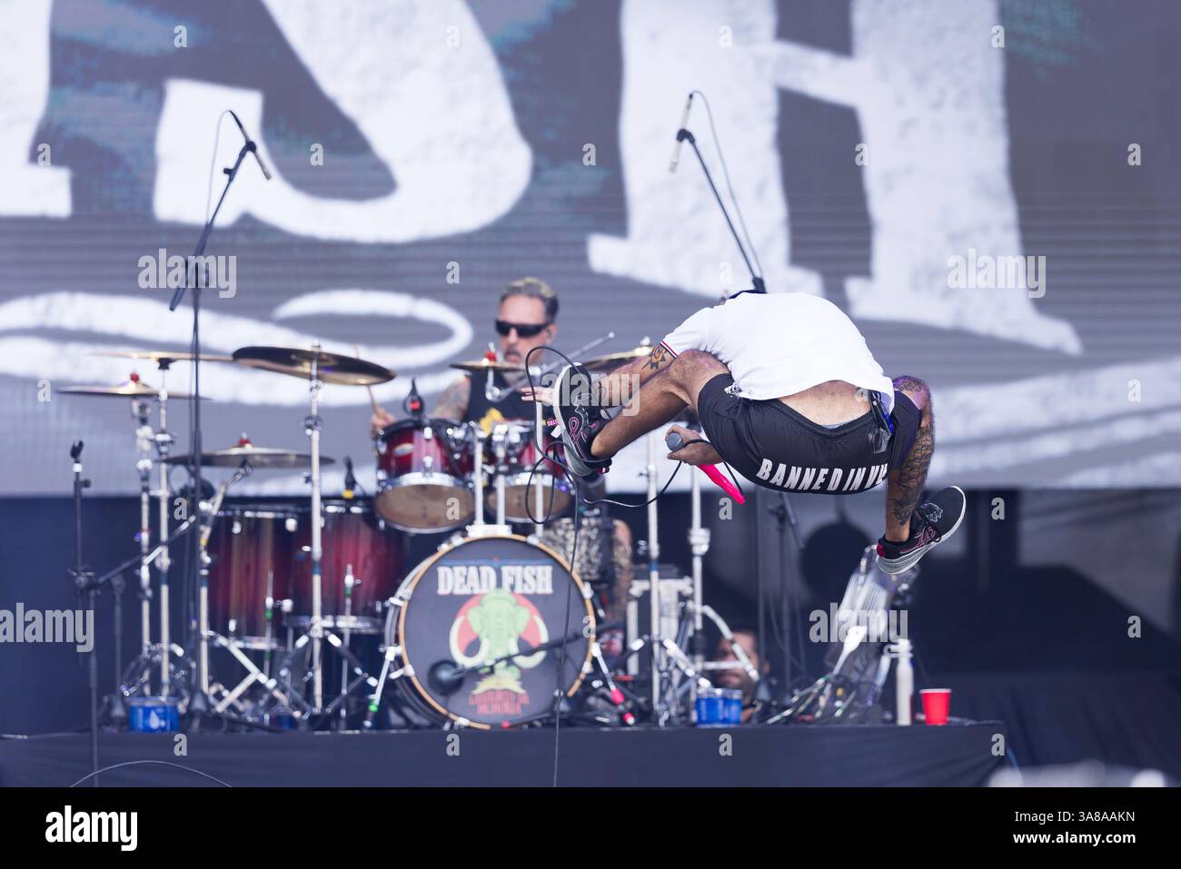 SP - SAO PAULO - 03/28/2025 - SAO PAULO, LOLLAPALOOZA BRAZIL 2025 ...