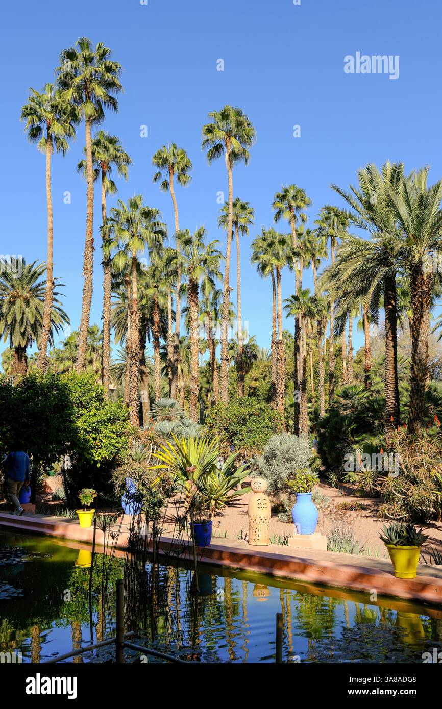 Jan 2nd 2025 - Marrakech, Morocco - The tropical Jardin Majorelle ...