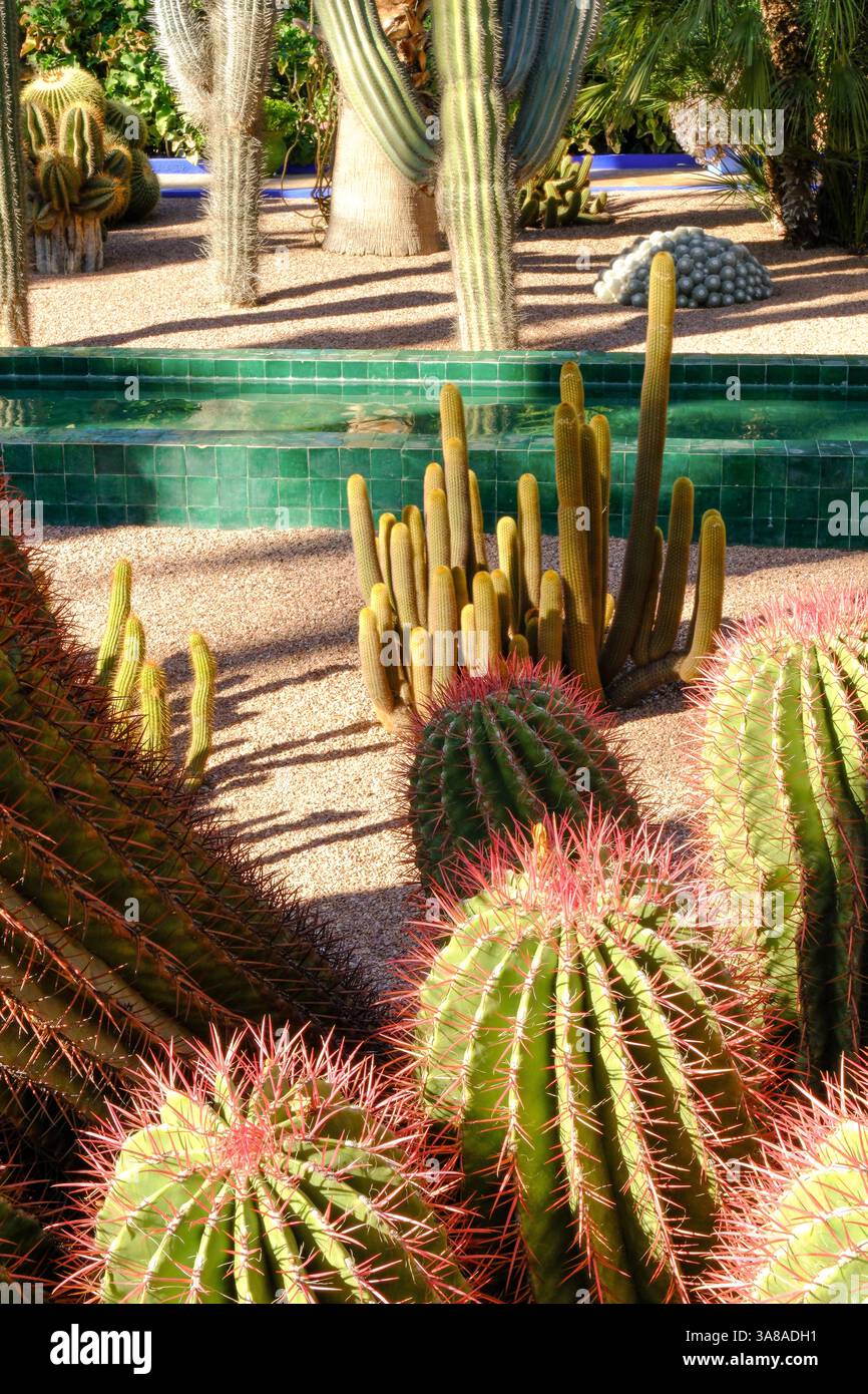 Jan 2nd 2025 - Marrakesh, Morocco - Yves Saint Laurent Museum at the ...