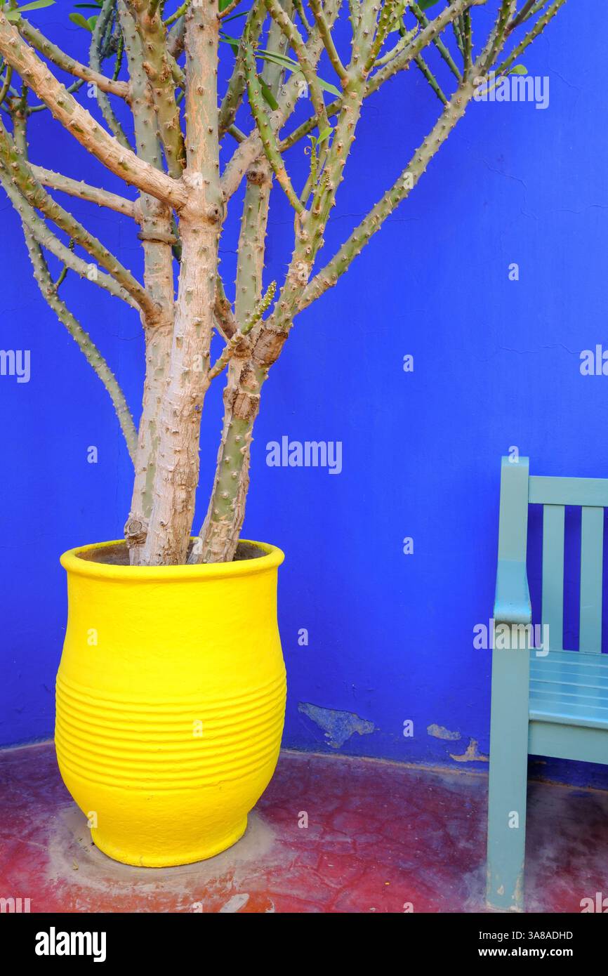 Jan 2nd 2025 - Marrakesh, Morocco - Yves Saint Laurent Museum at the ...