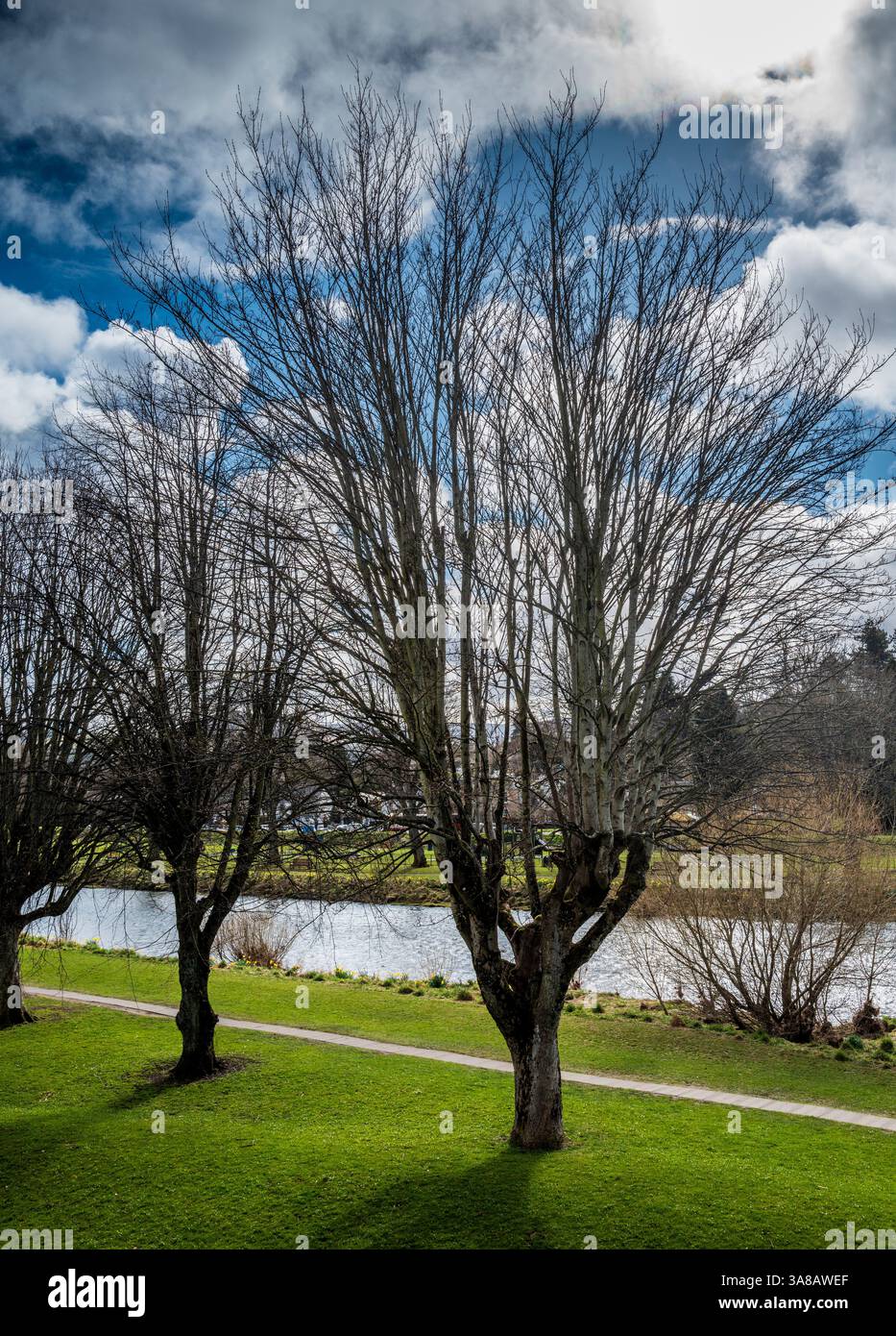 The river Tweed in Peebles, Scottish Borders, Scotland Stock Photo - Alamy