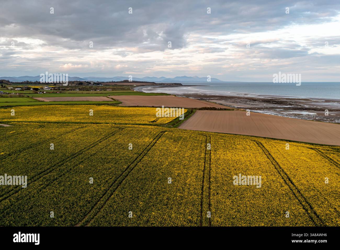 Aerial View Over Clogherhead, Oriel Port, Louth Ireland Stock Photo - Alamy