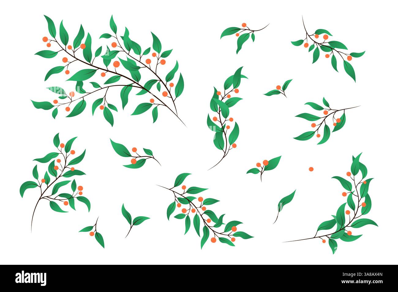 Berry branches isolated vector clipart illustration. Set of twigs and ...