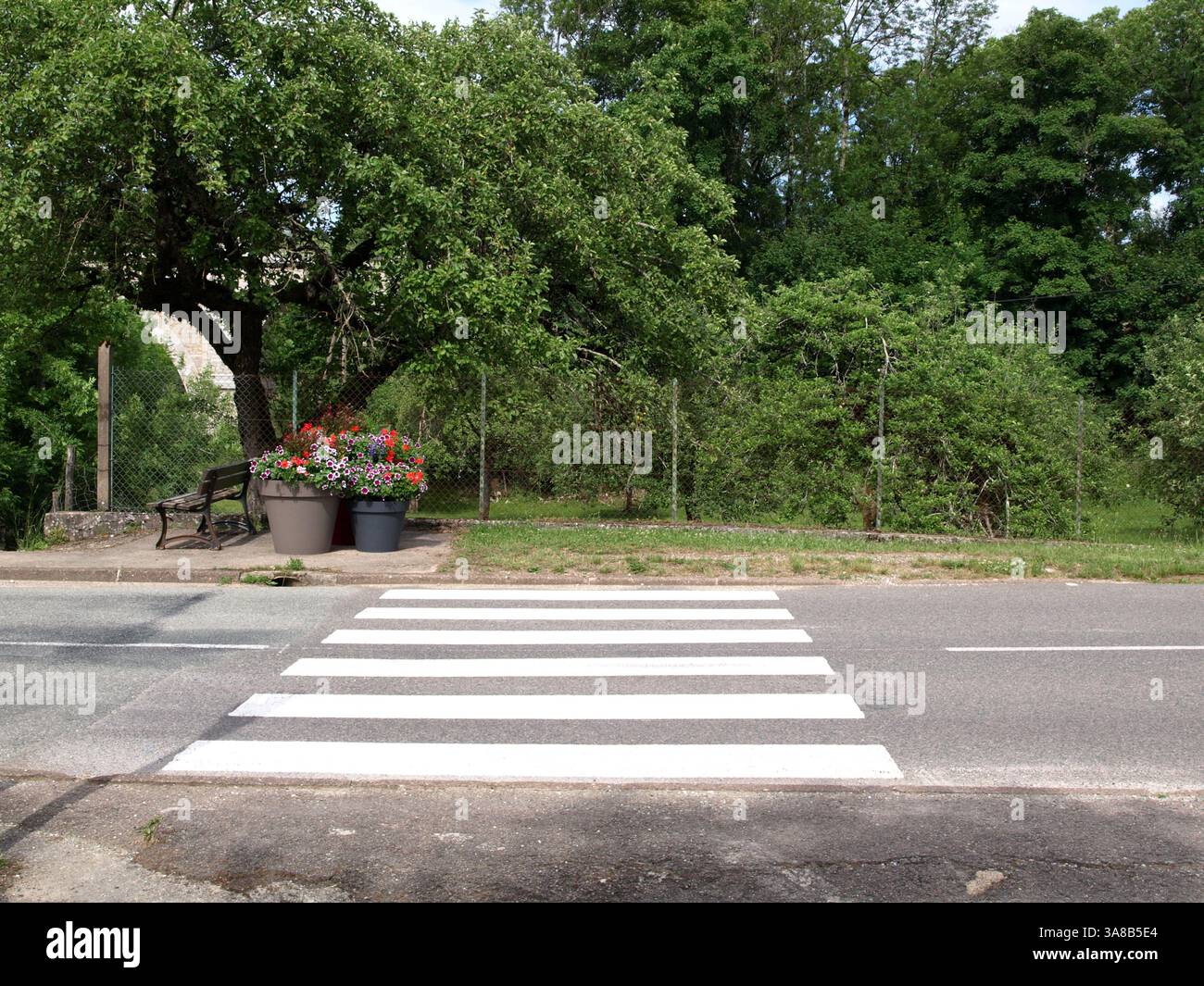 A path to safety Stock Photo - Alamy