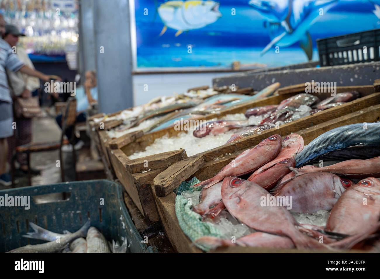 Hurghada Themenbild - Hurghada Fish market, Egypt, 27.03.2025 ...