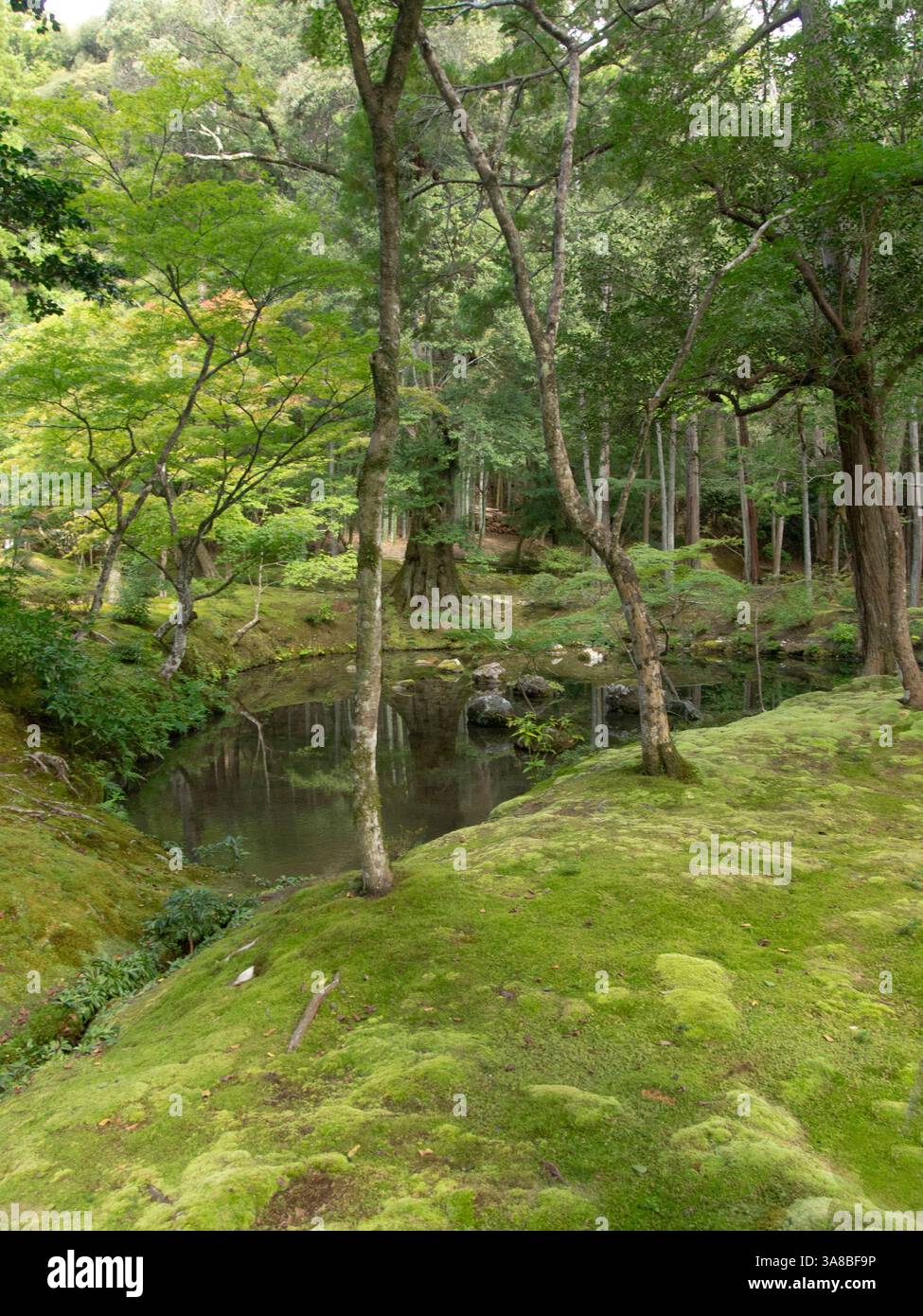 Saihoji | Kokedera (Moss Temple). Zen Temple at Kyoto Stock Photo - Alamy