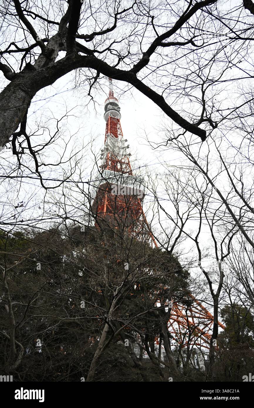 Zojo-ji Temple and Tokyo Tower in Tokyo, Japan – traditional Buddhist ...