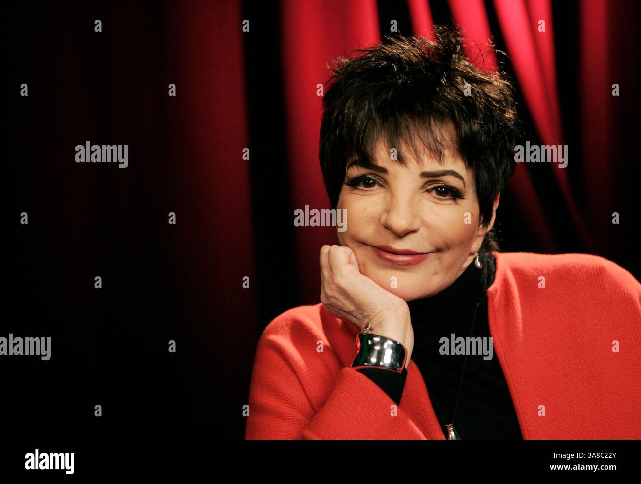 FILE - Actress-singer Liza Minnelli poses for a portrait in New York on ...