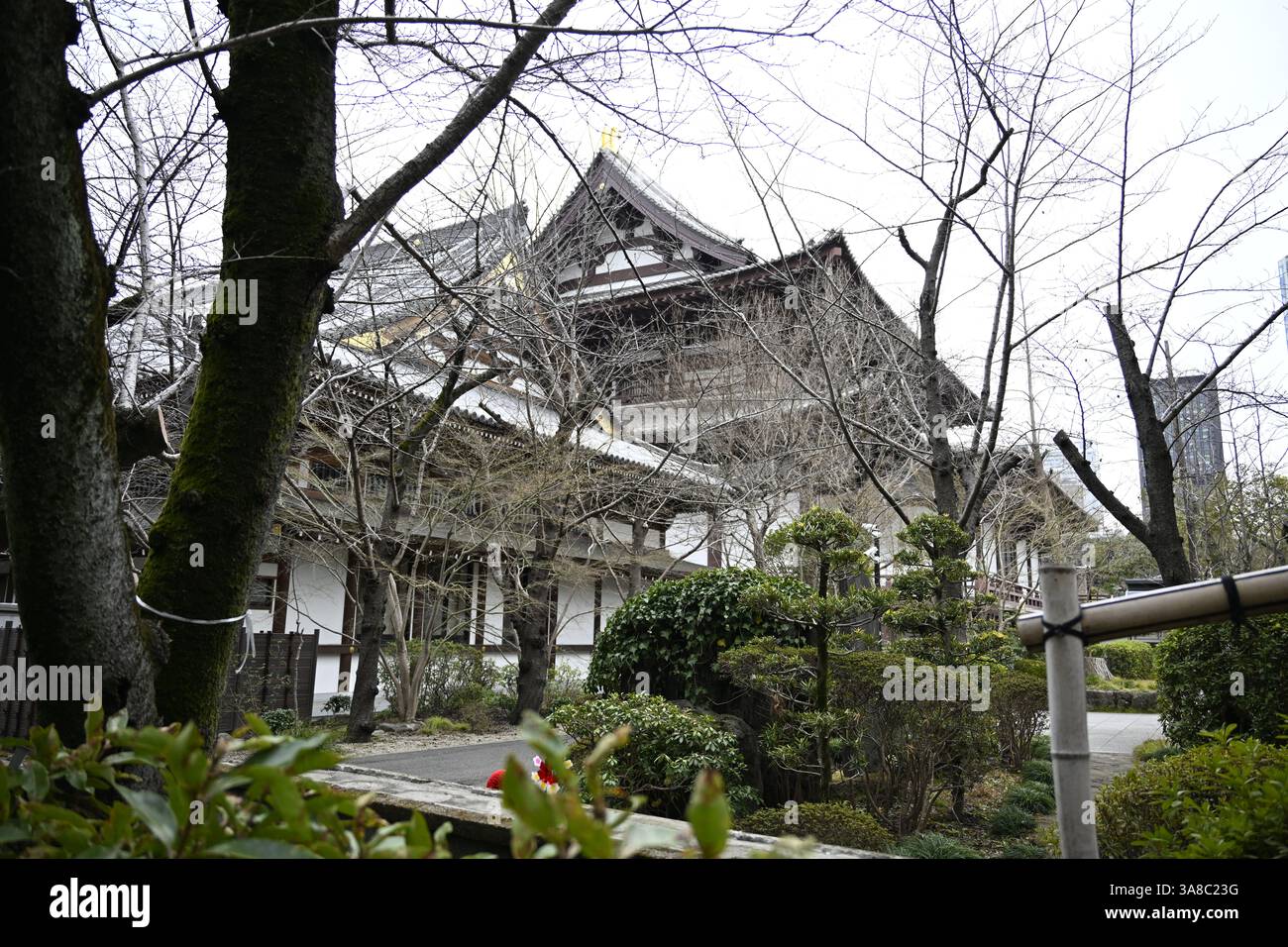 Zojo-ji Temple and Tokyo Tower in Tokyo, Japan – traditional Buddhist ...