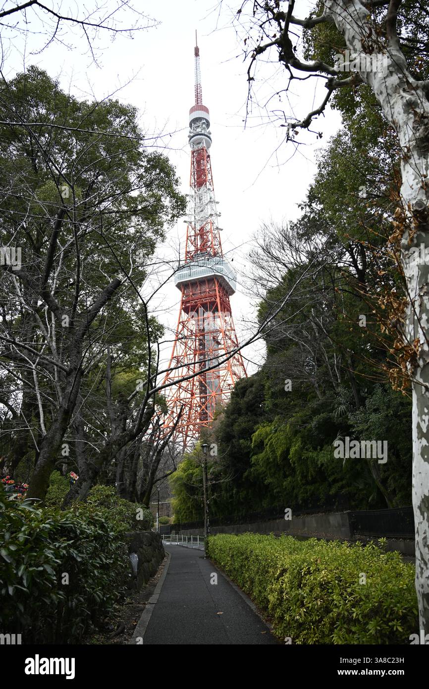 Zojo-ji Temple and Tokyo Tower in Tokyo, Japan – traditional Buddhist ...
