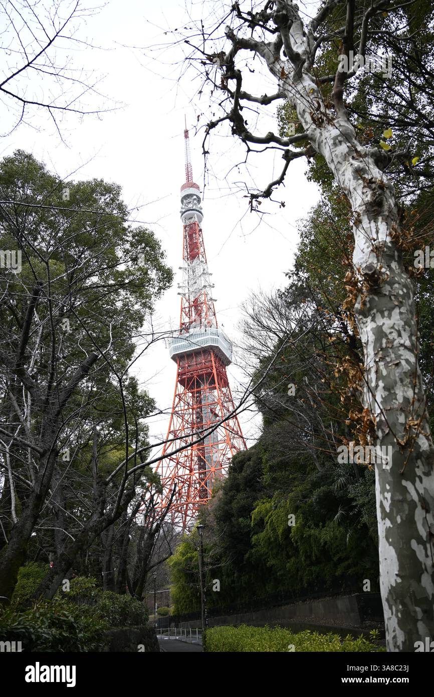 Zojo-ji Temple and Tokyo Tower in Tokyo, Japan – traditional Buddhist ...