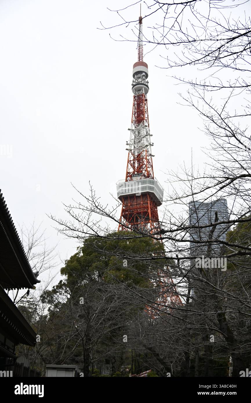 Zojo-ji Temple and Tokyo Tower in Tokyo, Japan – traditional Buddhist ...