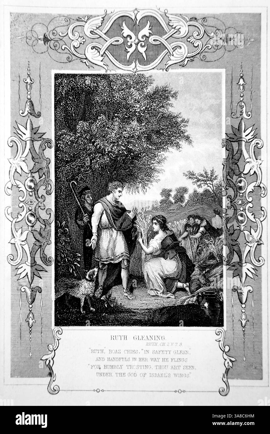 Steel Engraving Boaz and Ruth Meeting in a Cornfield while Ruth is ...