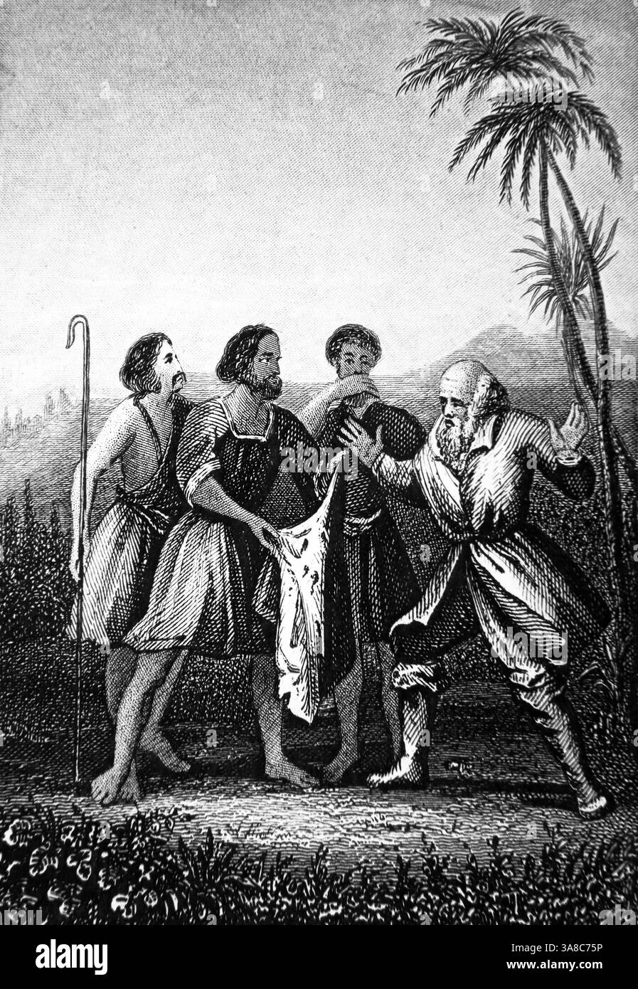 Steel Engraving of Joseph's Brethren Showing Their Father Jacob Joseph ...