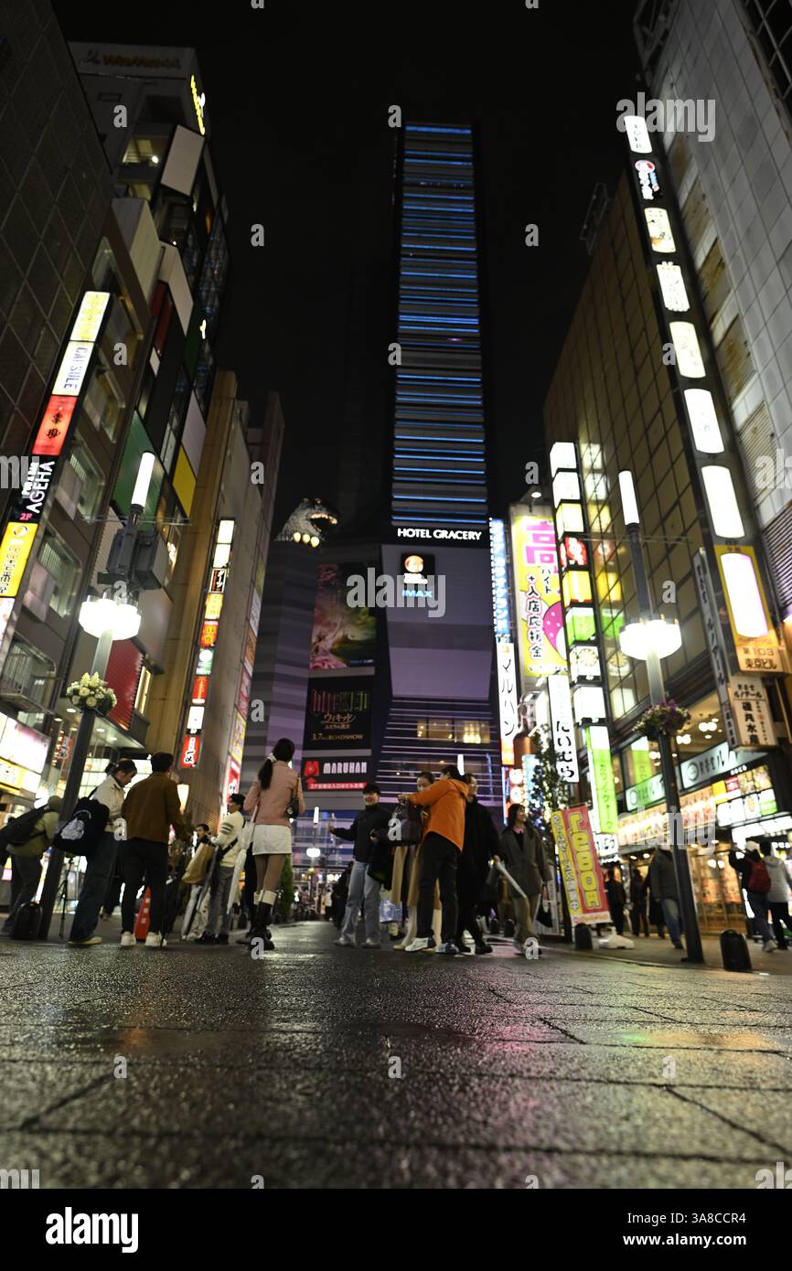 Night scenes in Kabukicho, Shinjuku, Tokyo, Japan – neon lights ...