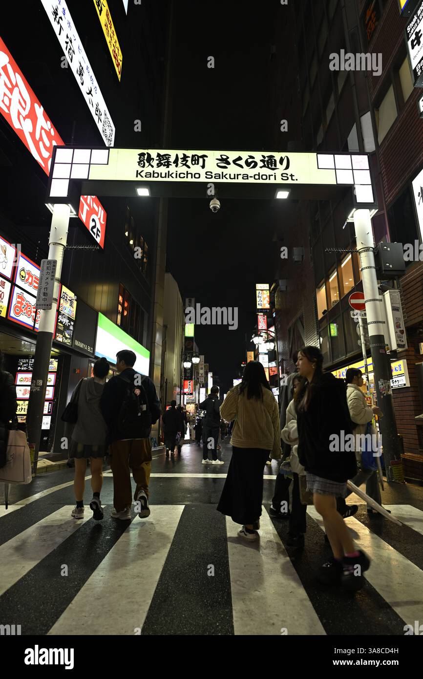 Night scenes in Kabukicho, Shinjuku, Tokyo, Japan – neon lights ...