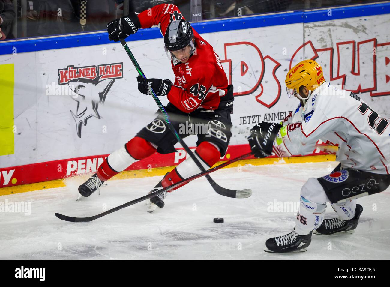 Cologne, Germany. 28th Mar, 2025. Ice Hockey: DEL, Kölner Haie ...