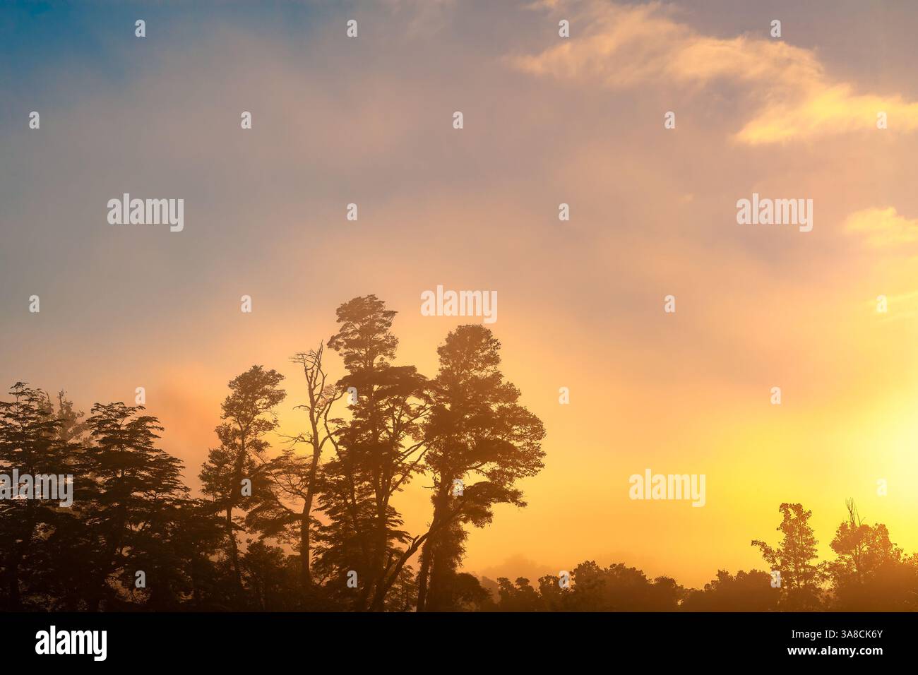 Golden light of dawn casts a warm glow over a farm in Villarrica, Chile Stock Photo - Alamy