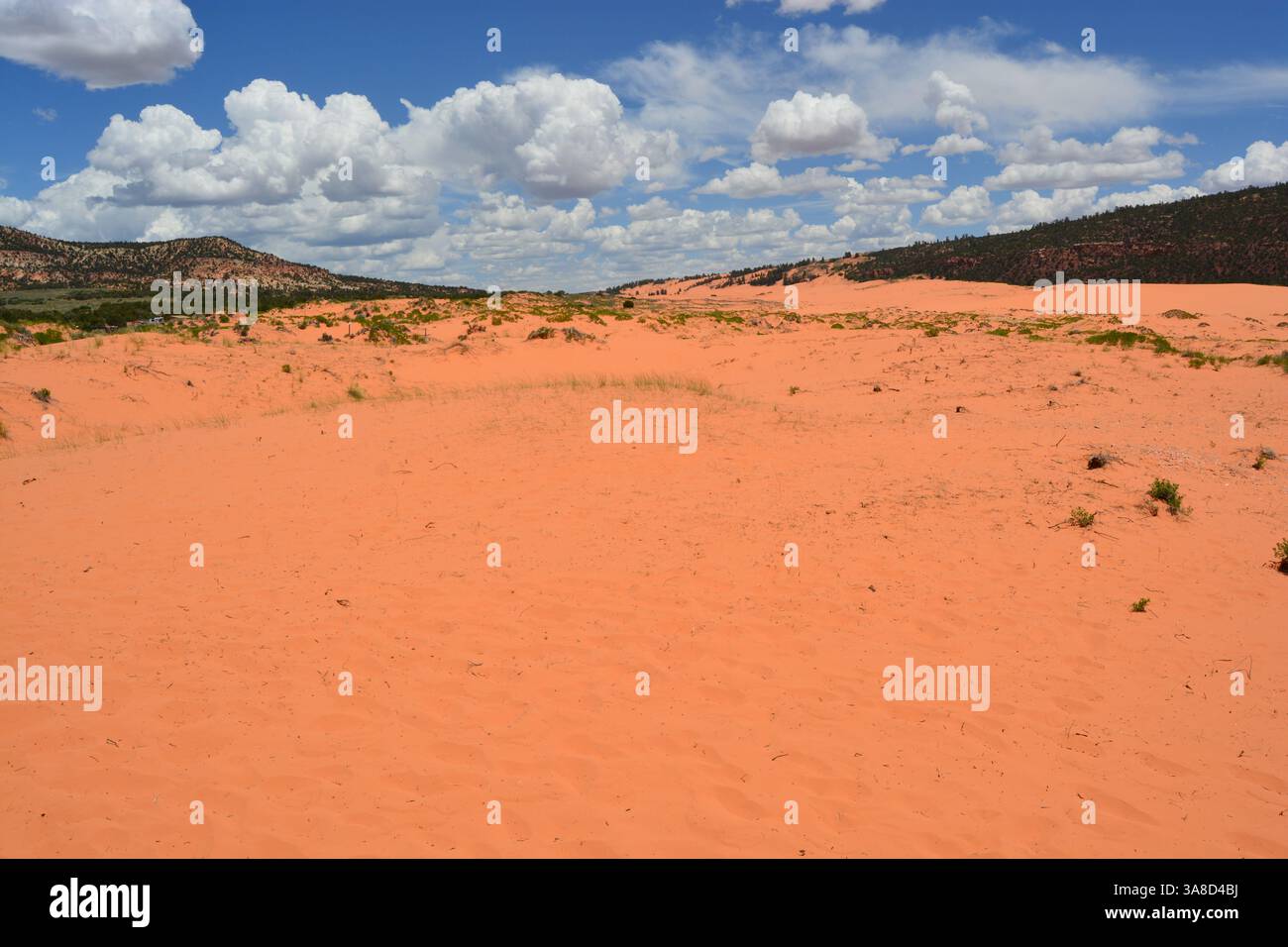Coral Pink Sand Dunes State Park Kanab Utah Stock Photo - Alamy