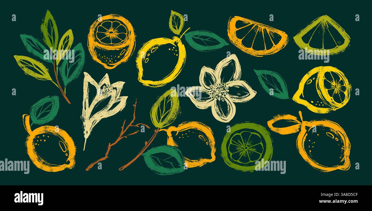 Set of Hand Drawn Delicious Lemons. Colorful grunge abstract lemon ...