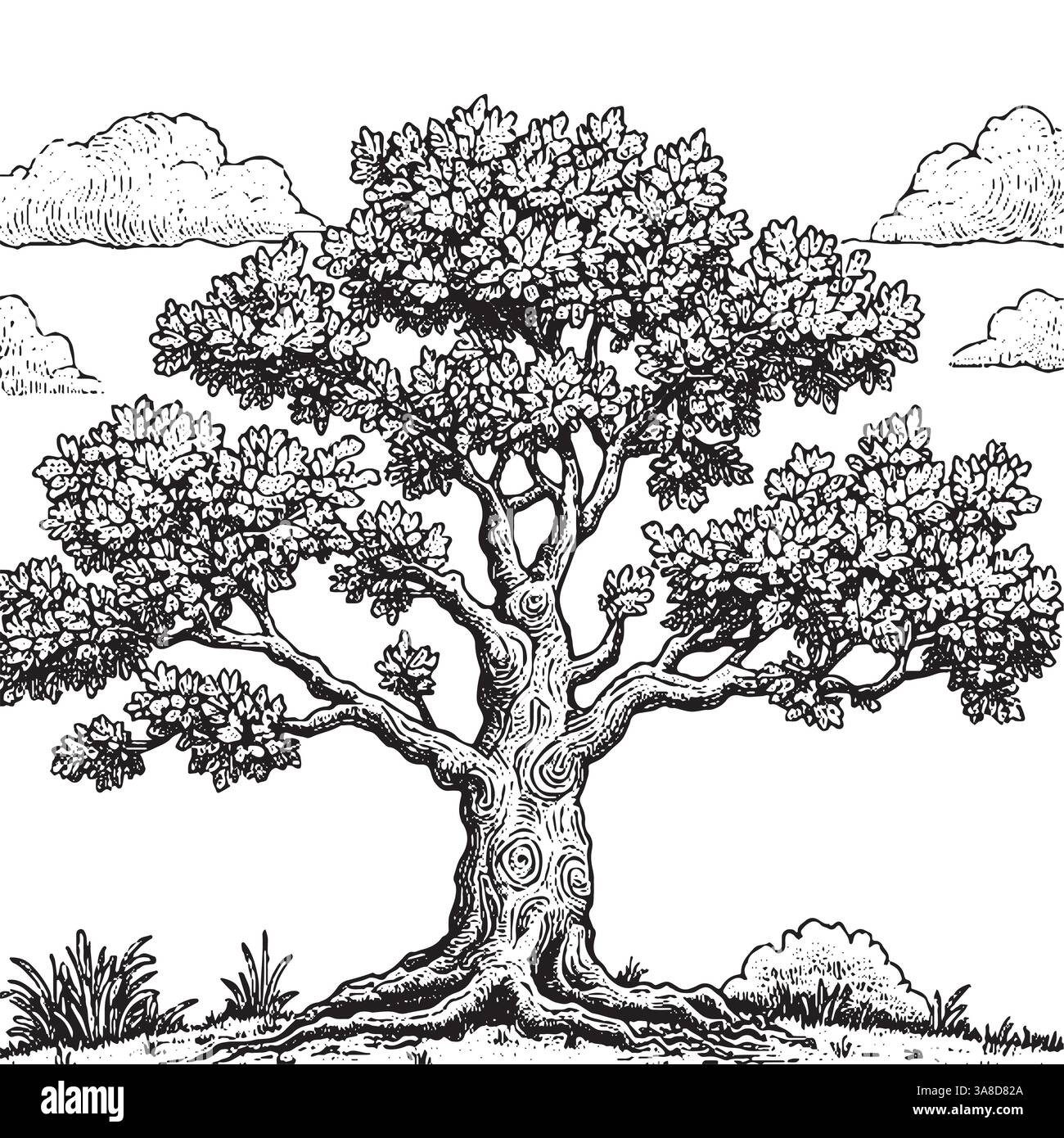 Oak tree, suitable for vintage logo design Vector Stock Vector Image ...