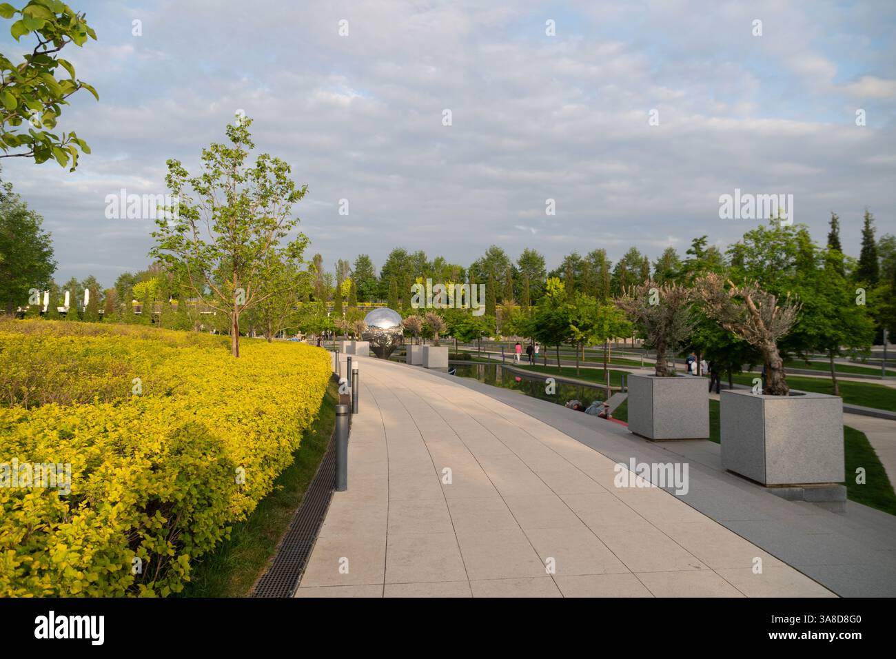 Park Path Trees - A paved pathway meanders through a park with lush ...