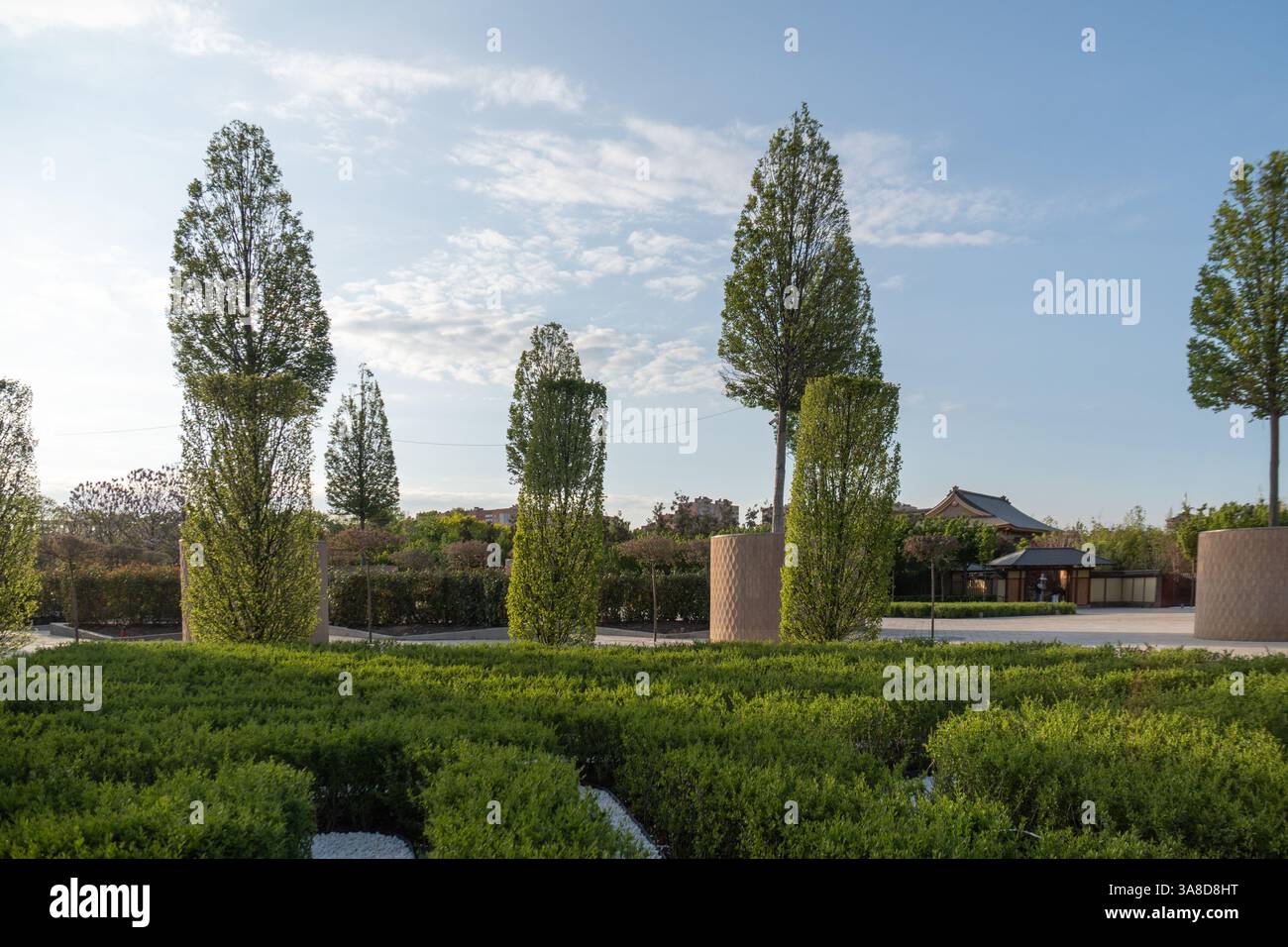 Garden Trees Maze Landscape Design - A photo of a garden with trees, a ...