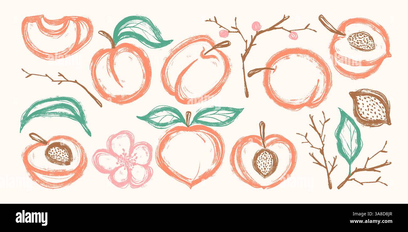 Set of Hand Drawn Delicious Peaches. Colorful grunge abstract peach ...