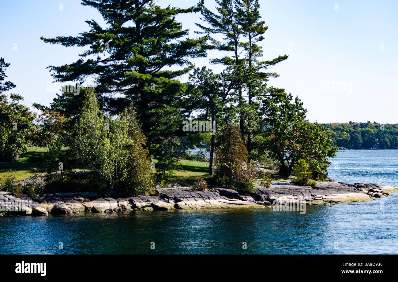 rocky shoreline of an island with tall pine trees Stock Photo - Alamy
