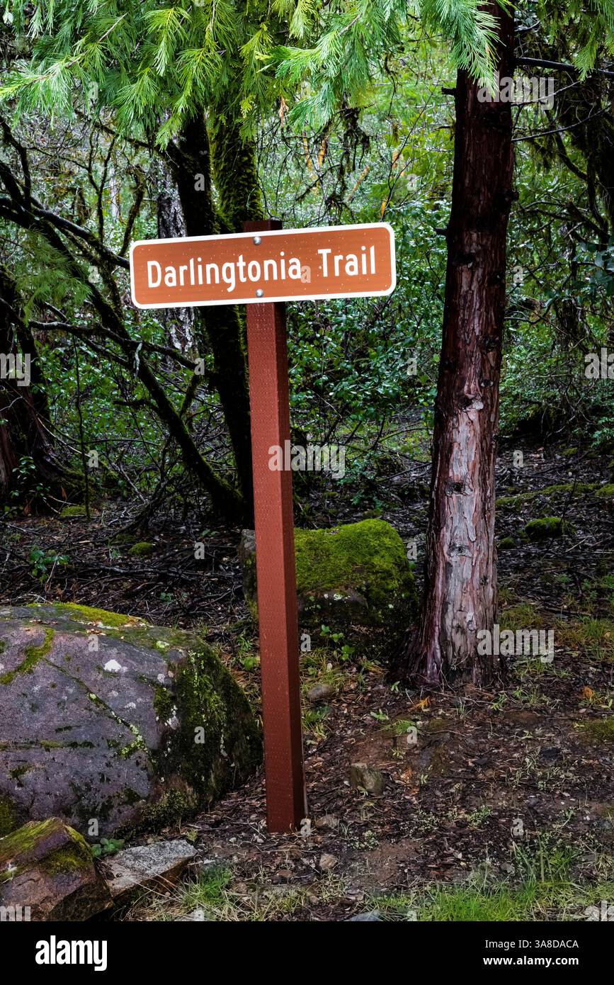 Darlingtonia Trail in a serpentine soils area of Smith River National ...