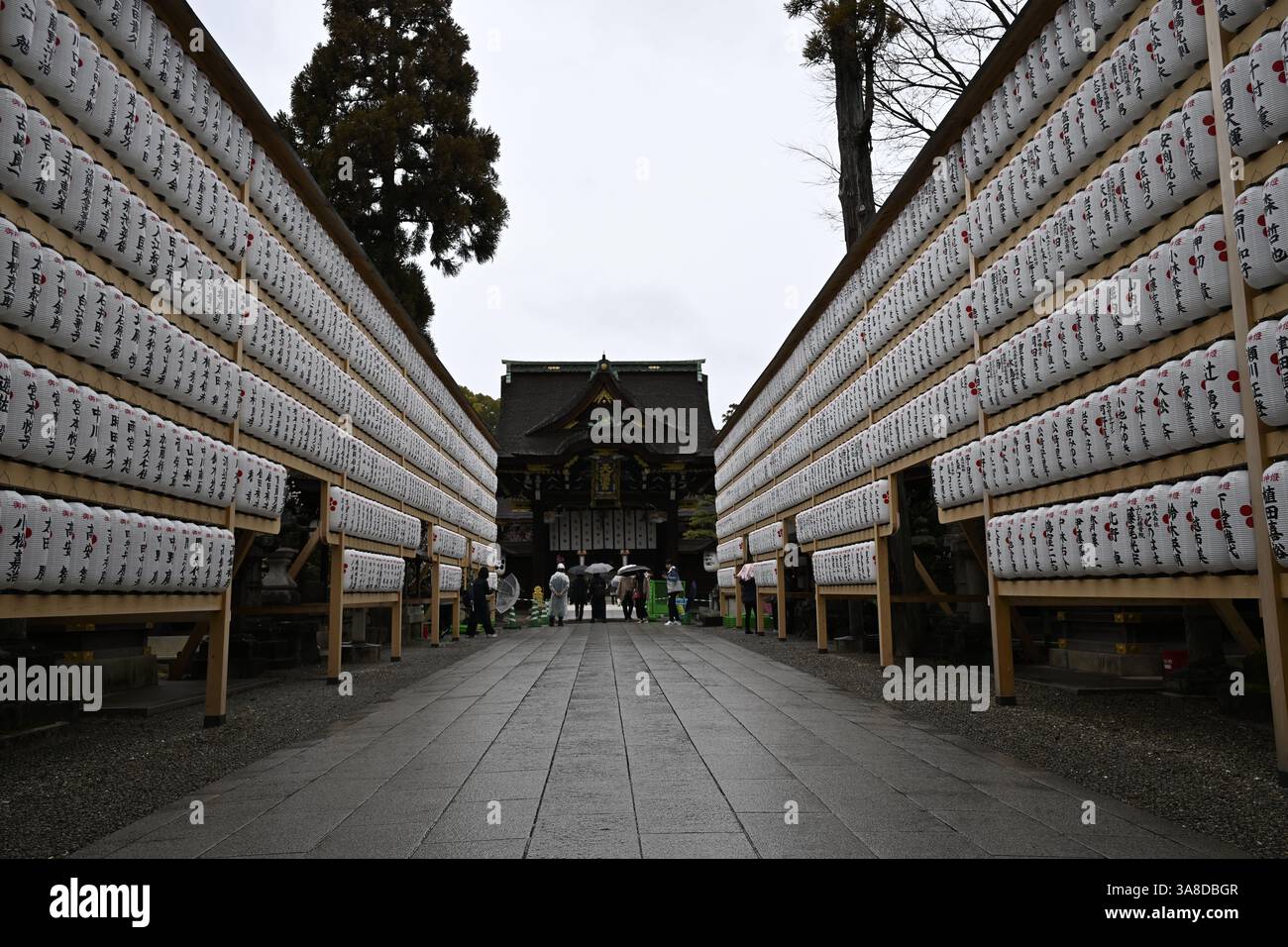 Kitano Tenmangu Shrine in Kyoto, Japan – plum blossoms, lanterns, and ...