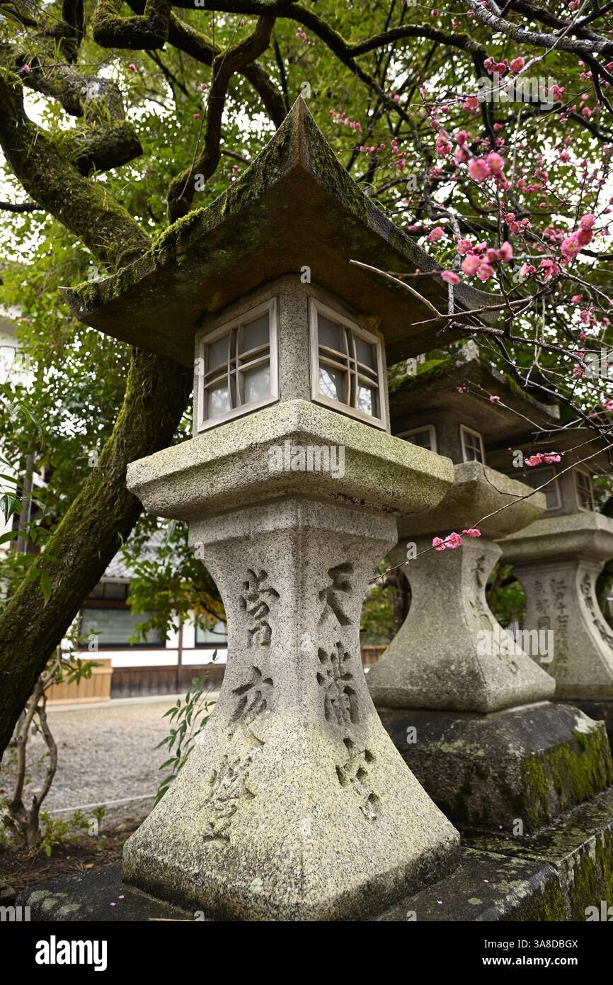 Kitano Tenmangu Shrine in Kyoto, Japan – plum blossoms, lanterns, and ...