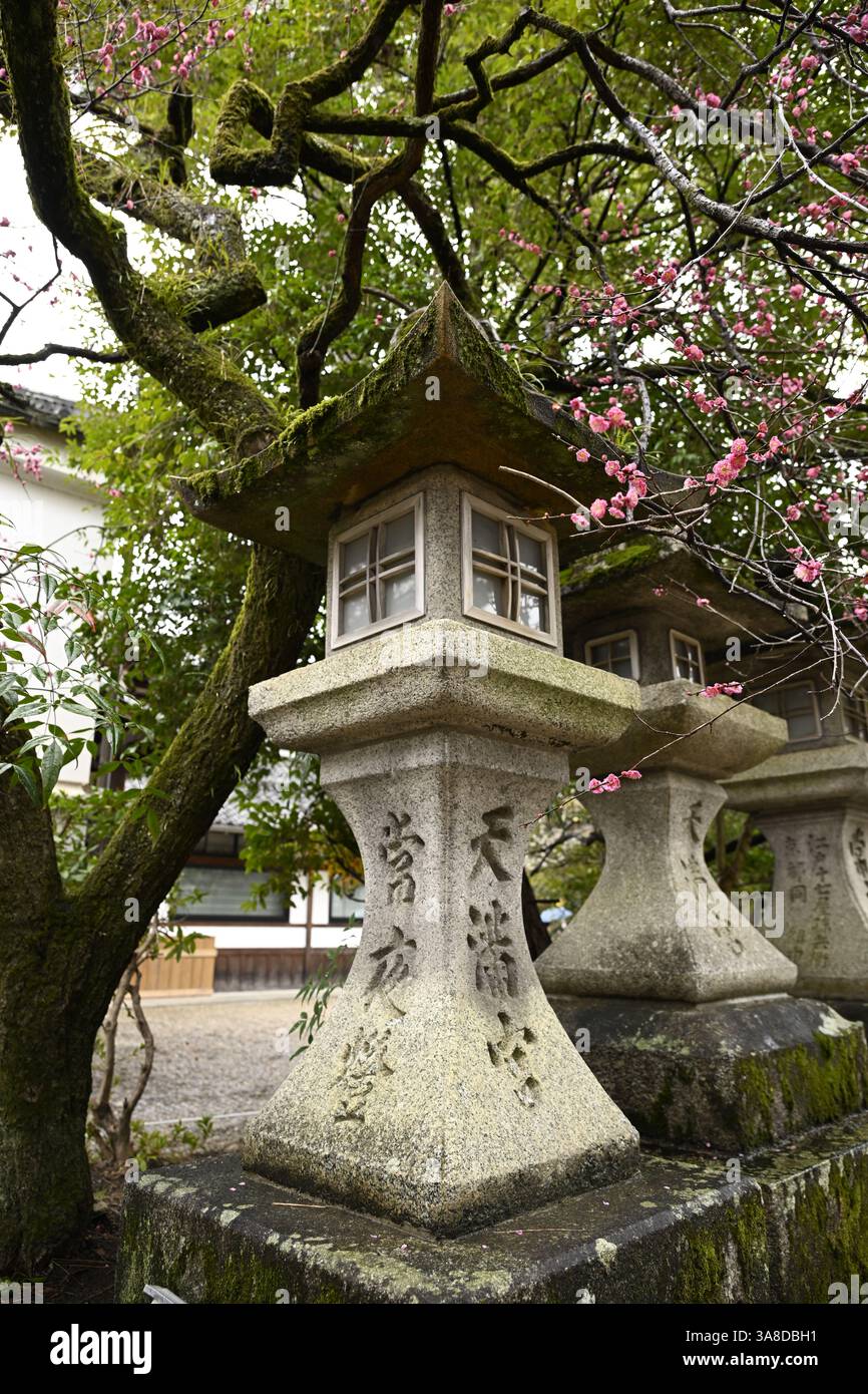 Kitano Tenmangu Shrine in Kyoto, Japan – plum blossoms, lanterns, and ...