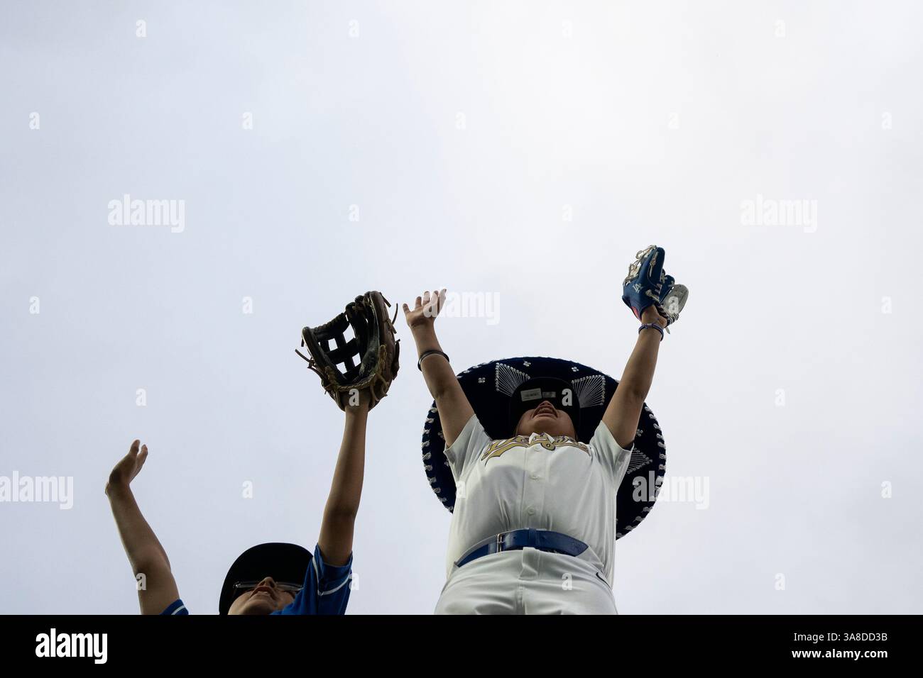 Young Los Angeles Dodgers fans raise their hands for the ball during ...