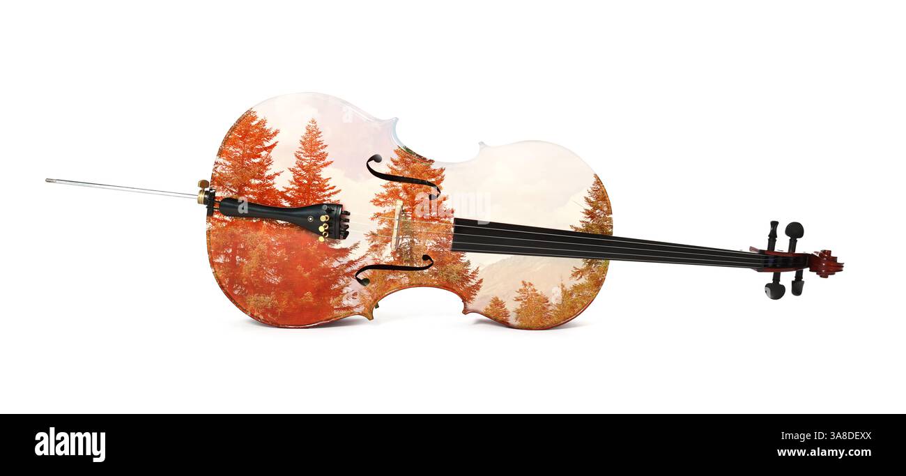 Violin on white background. Double exposure of coniferous trees and ...