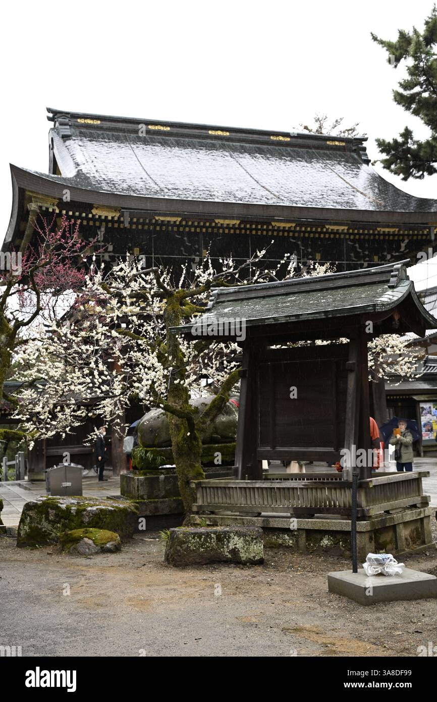 Kitano Tenmangu Shrine in Kyoto, Japan – plum blossoms, lanterns, and ...