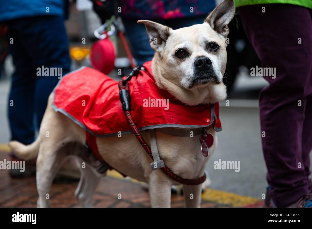 Seattle, USA. 28th Mar 2025. The ongoing Federal Friday Henry M ...