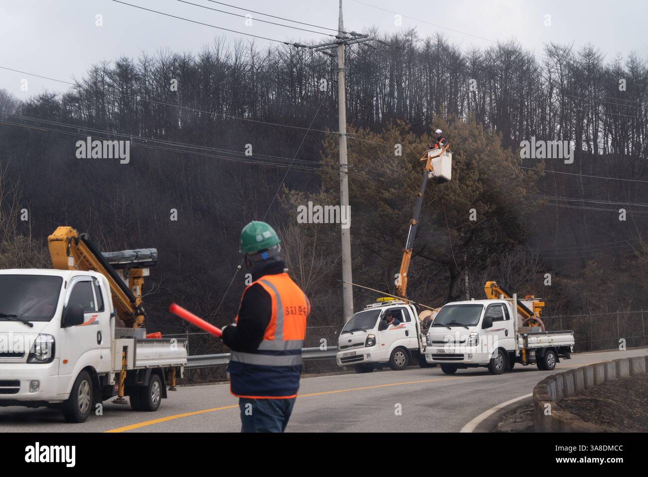 Seoul, Seoul, South Korea. 28th Mar, 2025. The wildfire that started in ...