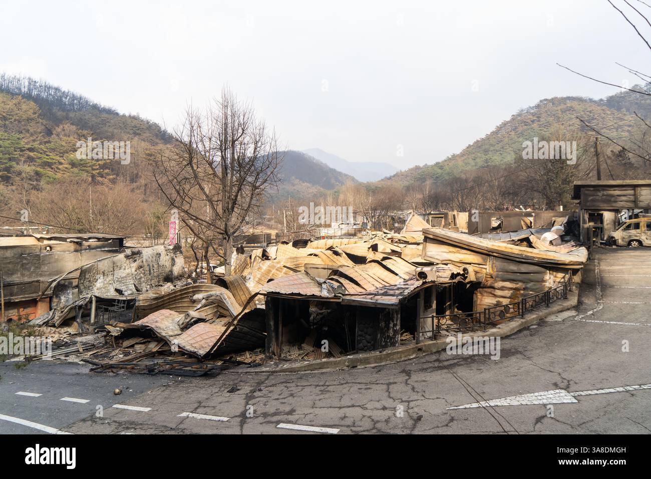 Seoul, Seoul, South Korea. 28th Mar, 2025. The wildfire that started in ...