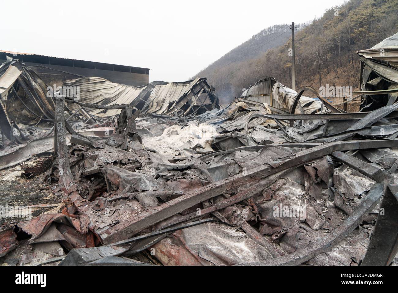 Seoul, Seoul, South Korea. 28th Mar, 2025. The wildfire that started in ...
