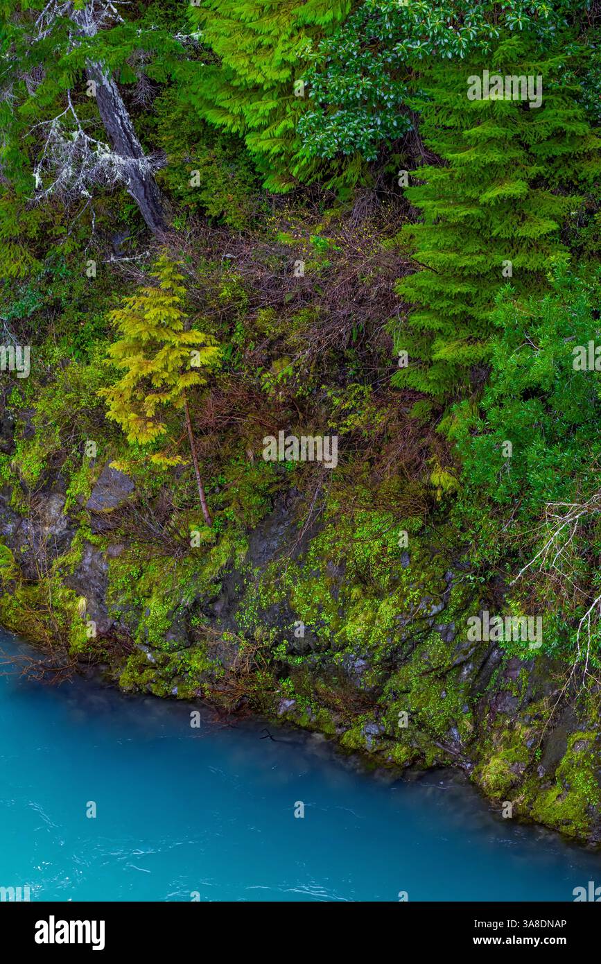 Smith River in Smith River National Recreation Area, Six Rivers ...