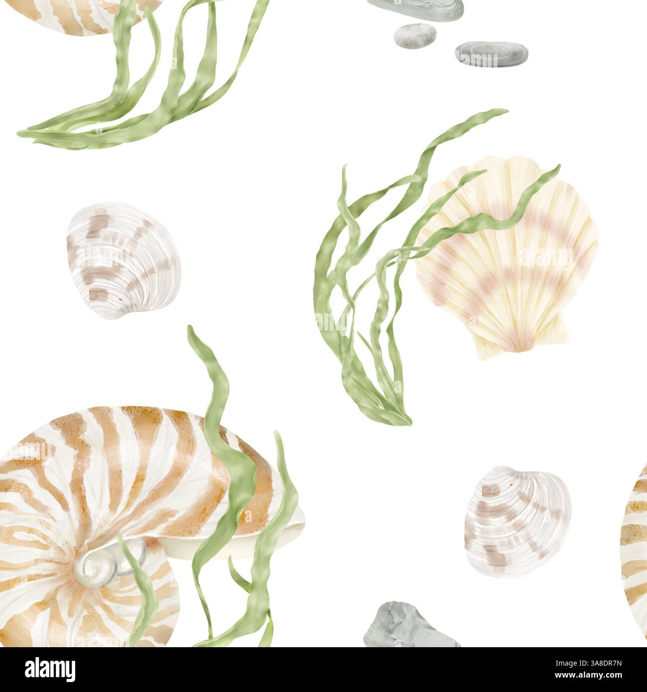 Nautilus clam shell and green algae from the underwater world of the ...