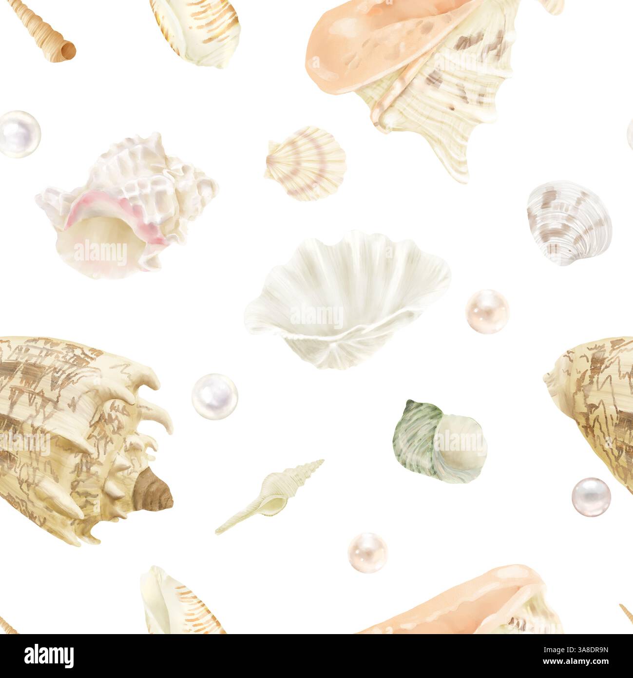 Strombus clam shells, cornuta cassis, and glittering pearls from the ...