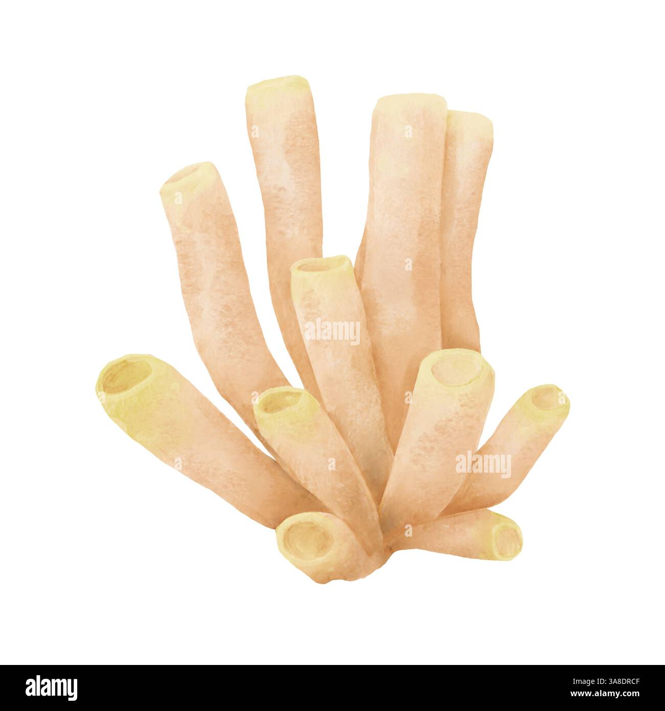 Aquatic underwater seascape Cut Out Stock Images & Pictures - Alamy