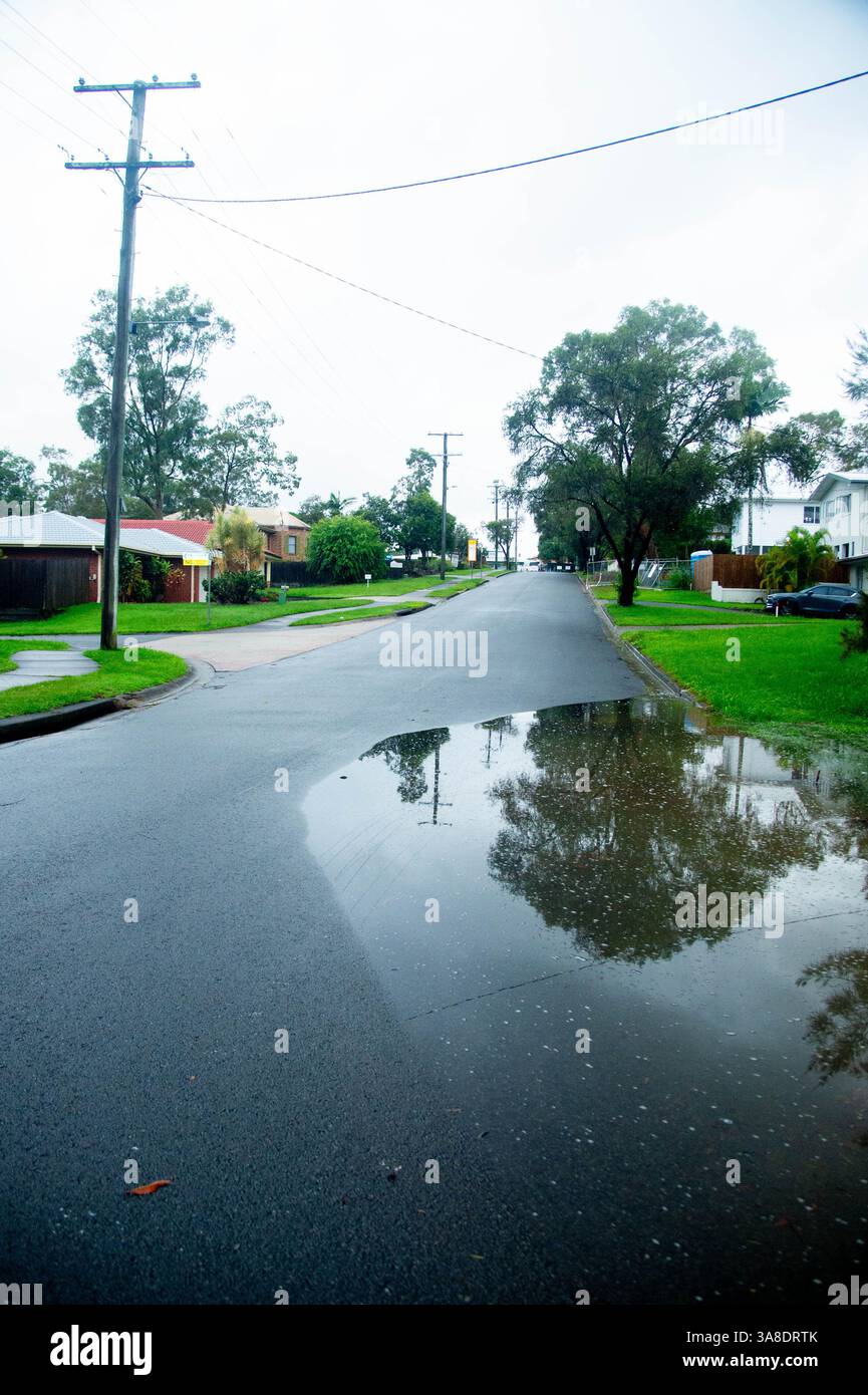 Brisbane, Australia. 29, March, 2025. The tree is fallen down for the ...