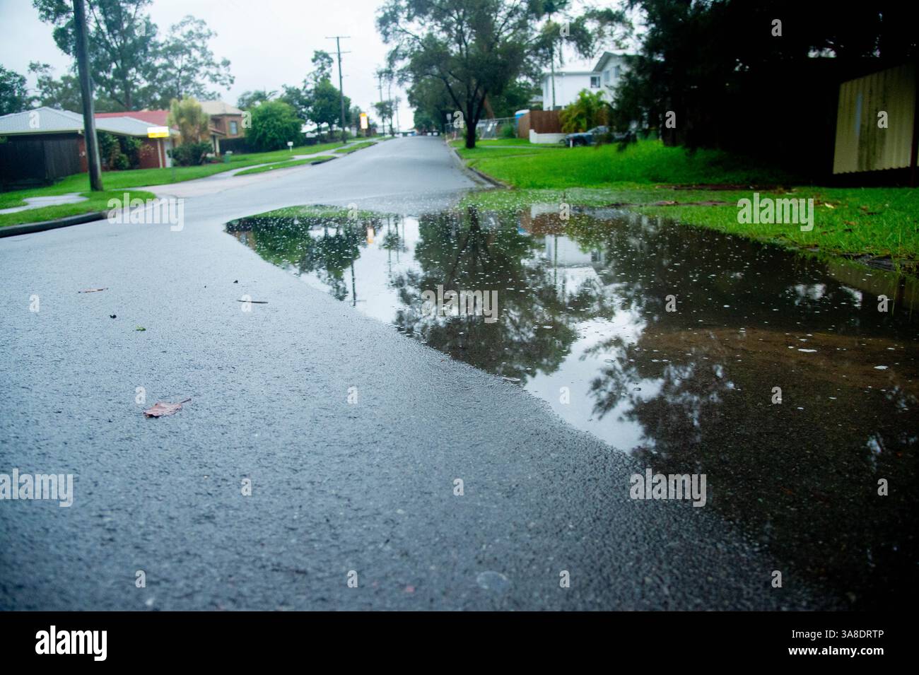 Brisbane, Australia. 29, March, 2025. The tree is fallen down for the ...