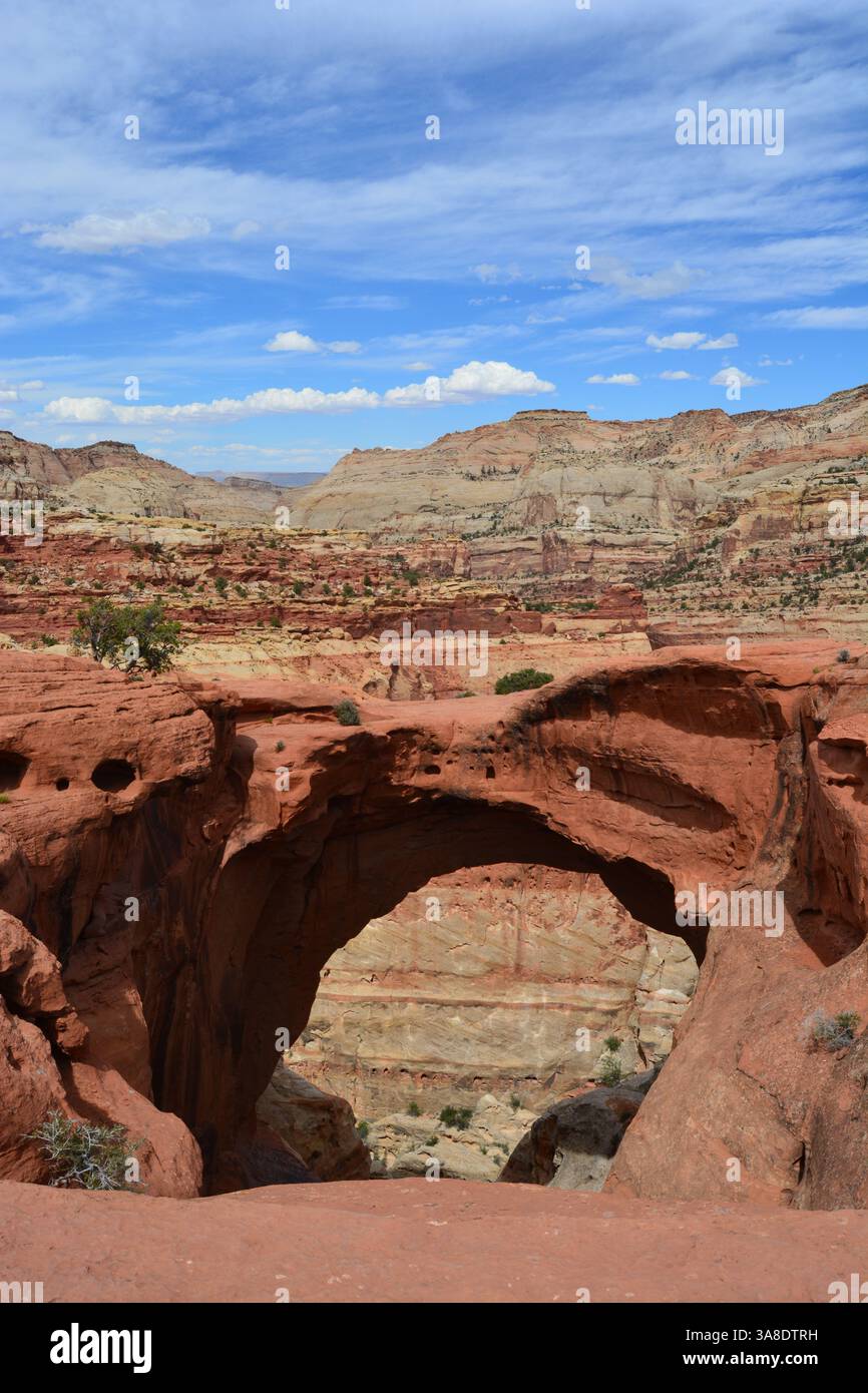 Cassidy Arch at Capitol Reef National Park Utah Stock Photo - Alamy